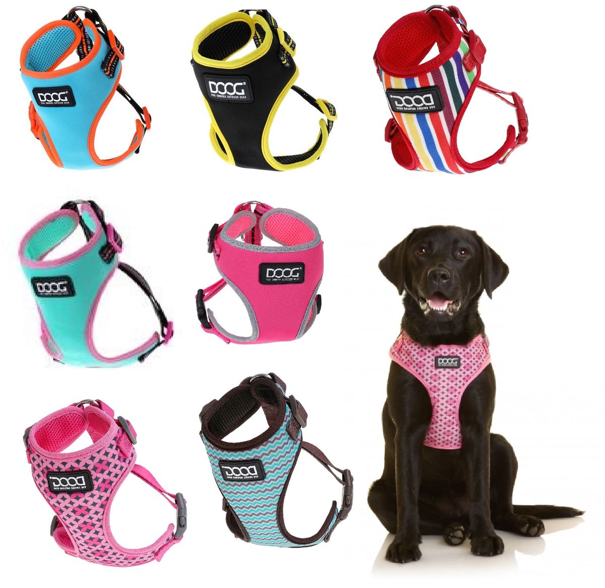 DOOG Neon Harness Geschirr | Happy-Petshop.de